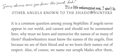 ‘The Shadowhunter’s Codex’ sneak peek explains seraph blades – TMI Source